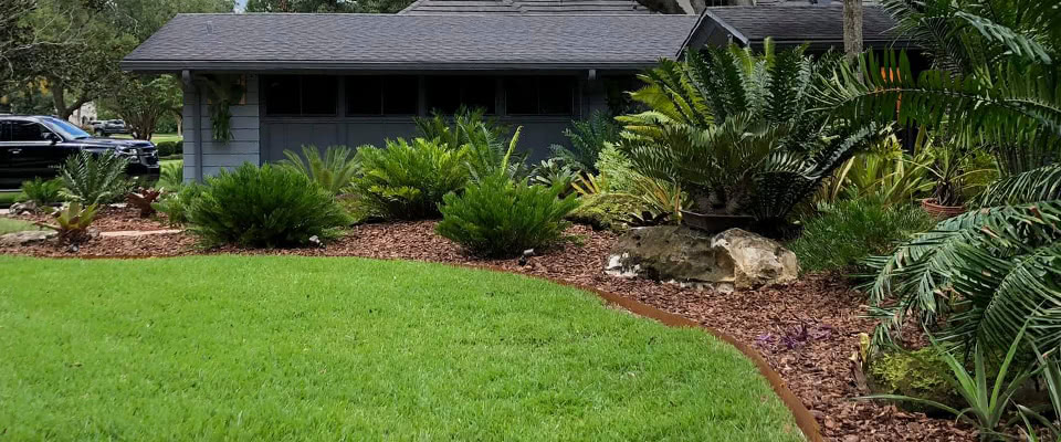 Mini Pine Bark Nuggets | Everglades Equipment Group