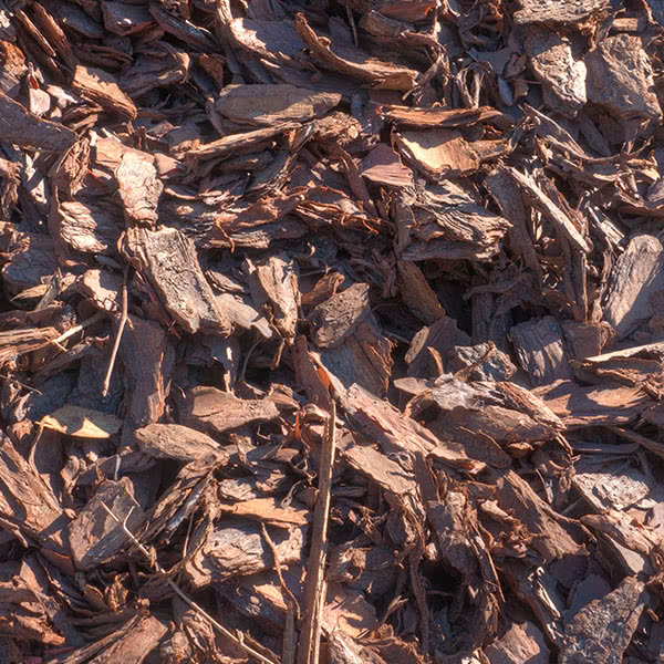 Large Pine Bark Nuggets | Everglades Equipment Group